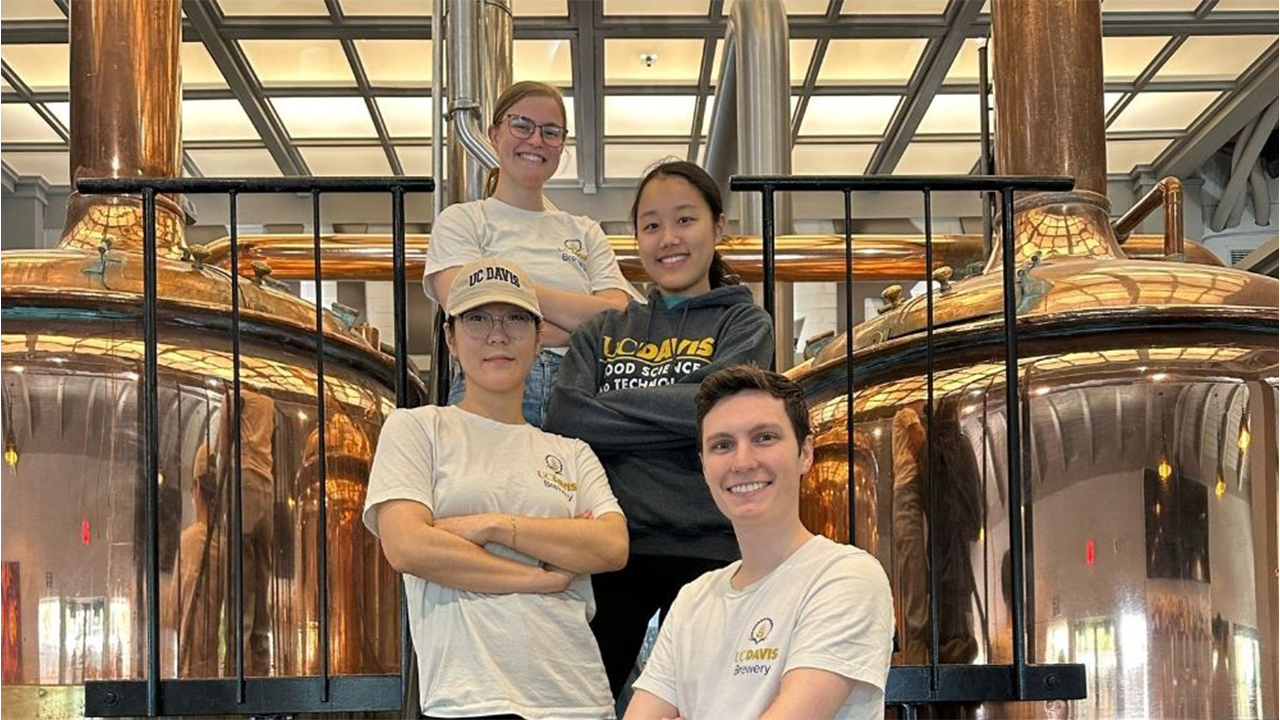 BFTV Cluster News - FST students win Iron Brew 2023